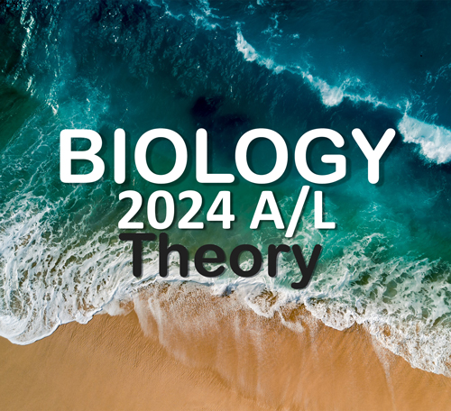 Sipsuru: Tissa Jananayake