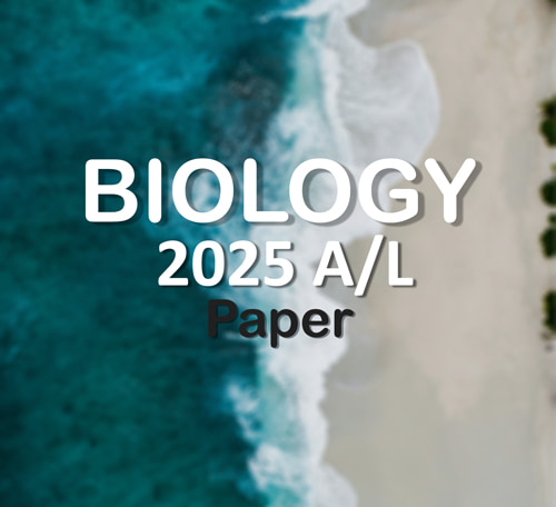 Sipsuru: Thejan Weerasooriya